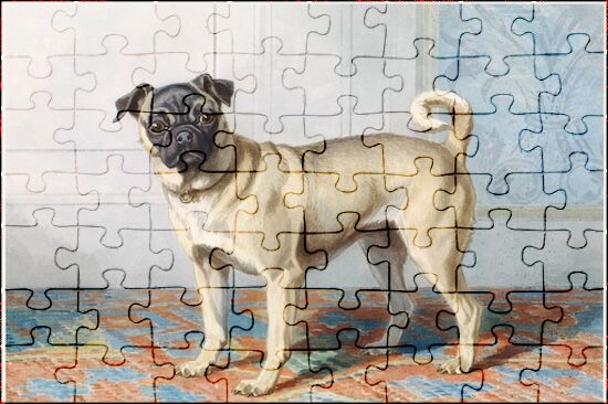 Portrait of Edwin Vom Rath’s Pug Jigsaw Puzzle Online