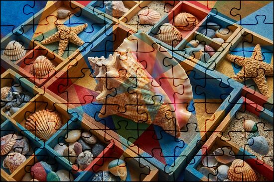 Seashell Collector'S Table With Shells, Starf Jigsaw Puzzle