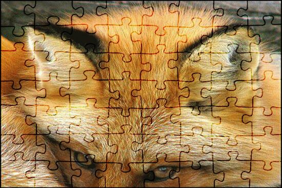 Rompecabezas Del Usuario #100866