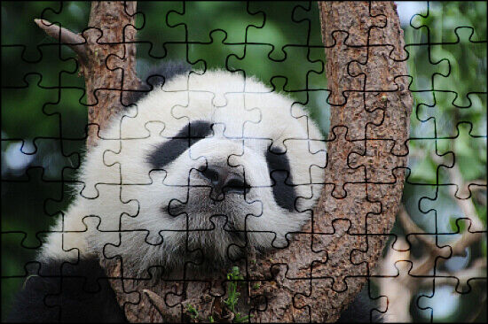 Toy - Toy Puzzle #1019752 | Jspuzzles