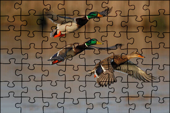 Toy - Toy Puzzle #1020097 | Jspuzzles