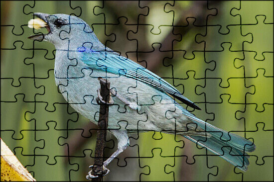 Toy - Toy Puzzle #1037193 | Jspuzzles
