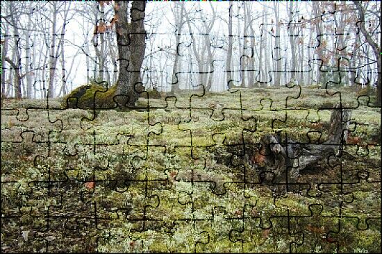 Toy - Rompecabezas Del Usuario #1038903