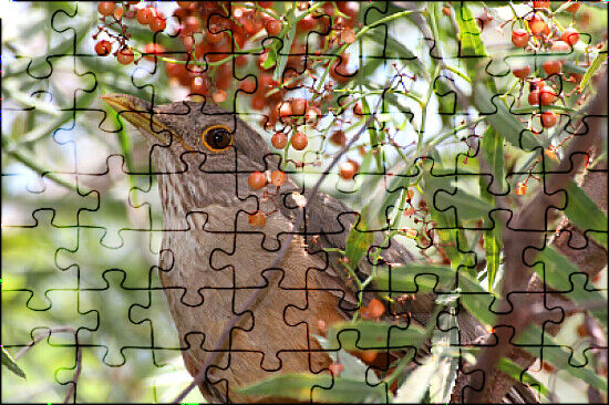 - Puzzle #1064526 | Jspuzzles