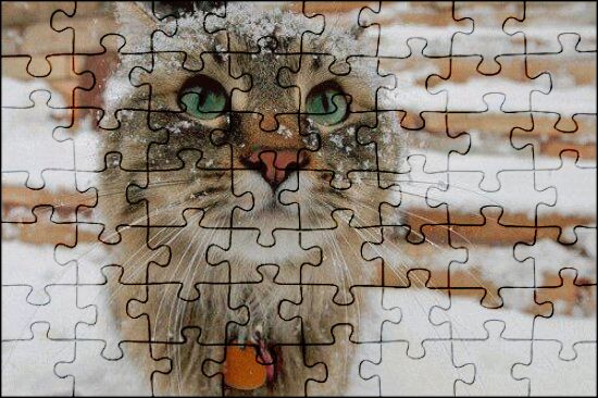 Winter - Lilypad55 Puzzle #179581 | Jspuzzles