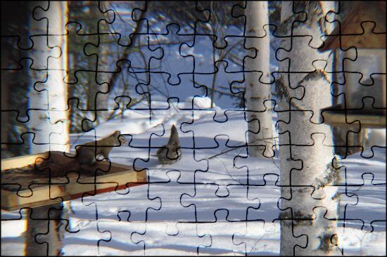Squirrel Quarreling With Grouse - Splinter Puzzle #261247