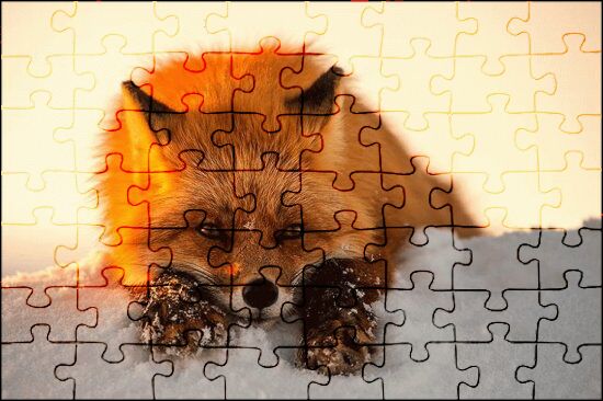 Volpe - Rompecabezas Del Usuario #269833