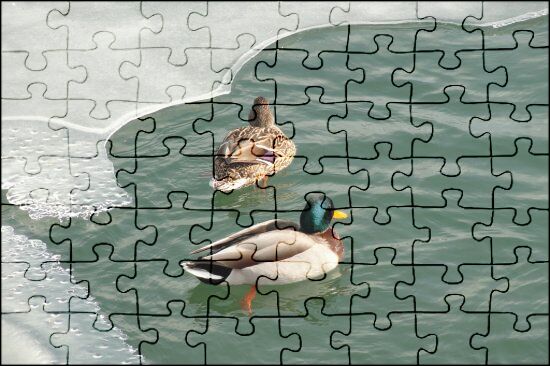 Canards - Inti-Punku Puzzle #289256 | Jspuzzles