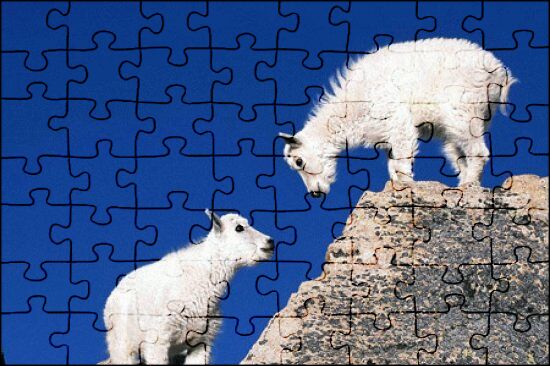 Mountain Goat Jigsaw Puzzles Online | JSPuzzles.com