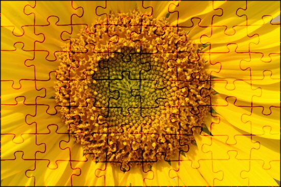 Flor - Rompecabezas Del Usuario #339695