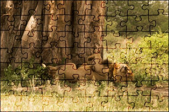 Keep - Elo Puzzle #348143 | Jspuzzles