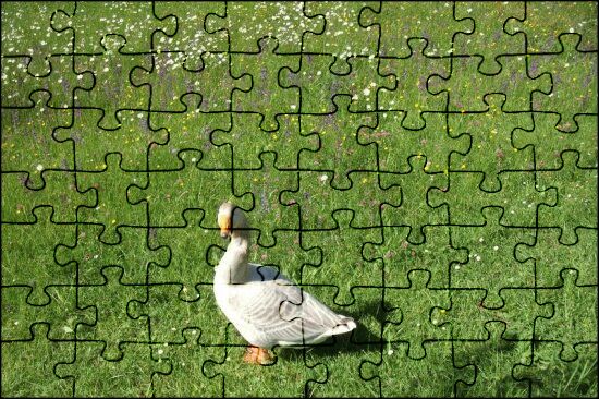 Gans Auf Wiese - Geislingen Puzzle #351239 | Jspuzzles