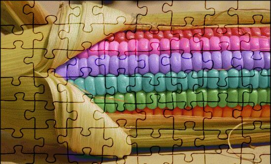 Rainbow Corn - Jvm Puzzle #365152 | Jspuzzles