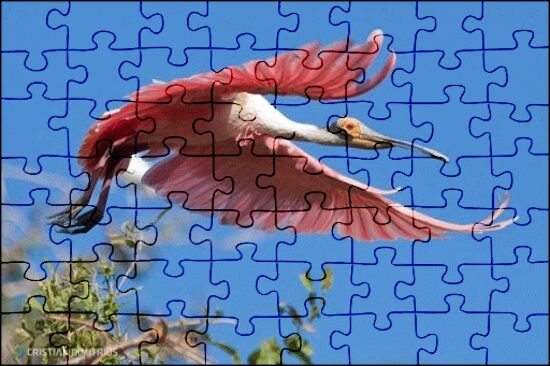 Natural - Rompecabezas Del Usuario #490033