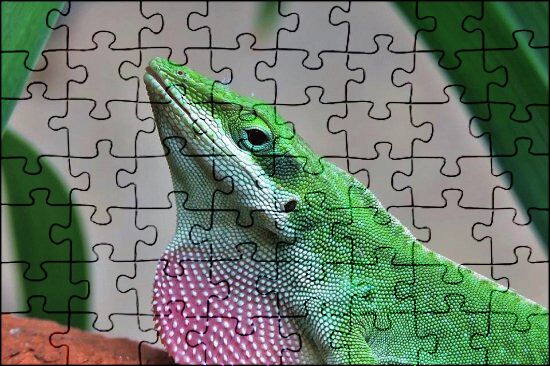 Natural - Joaninha Puzzle #553024 | Jspuzzles