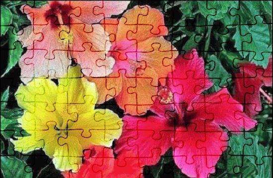 Ok - Light Life Puzzle #586350 | Jspuzzles