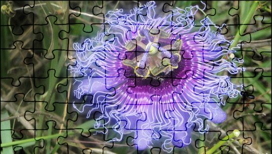 Ok - Light Life Puzzle #628112 | Jspuzzles