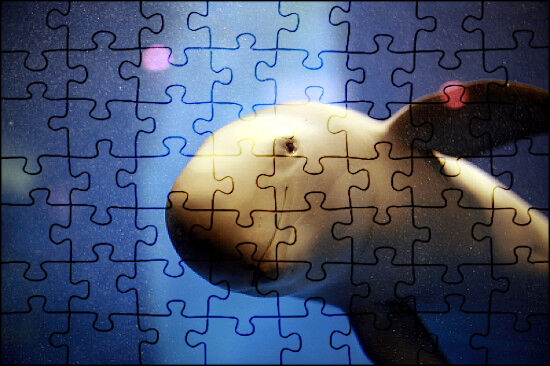 Neofocena ユーザーパズル 675439番