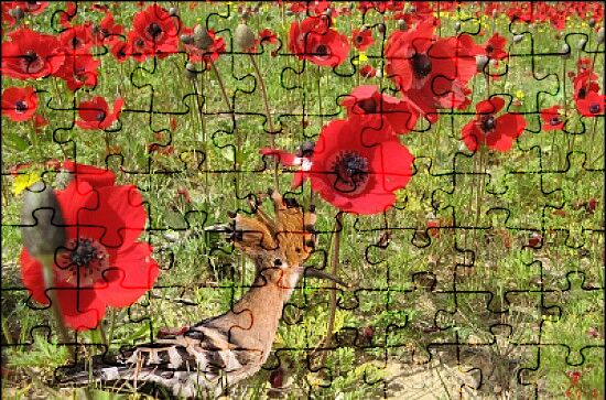 Aviva - Puzzle #677272 | Jspuzzles