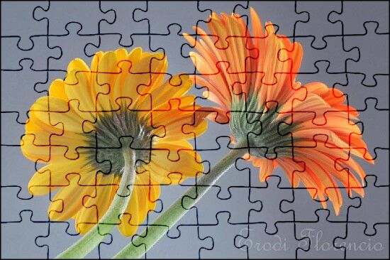 My Album - User Album - JSPuzzles