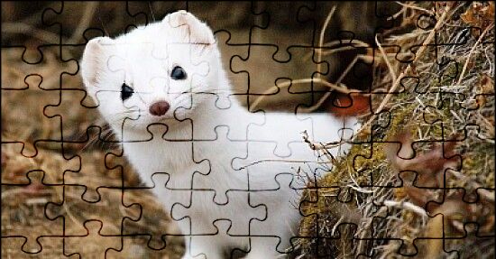 Lizuna ユーザーパズル 681540番