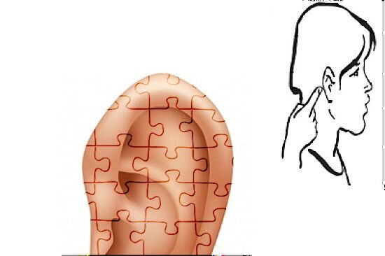 Ear Jigsaw Puzzles Online | JSPuzzles.com