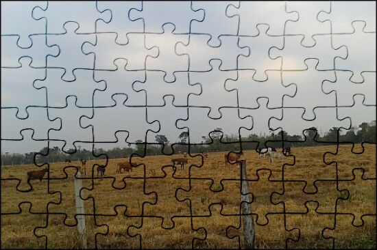 Potrero - Isaura Guerrero Puzzle #688984 | Jspuzzles