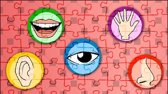 The Five Senses - Teacher Edith Puzzle #693354 | Jspuzzles