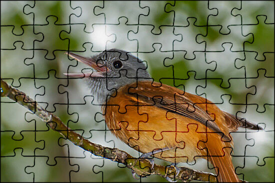 Attila Rufus ユーザーパズル 695678番