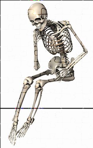 Skeleton Jigsaw Puzzles Online | JSPuzzles.com