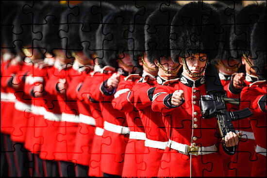 Guard Jigsaw Puzzles Online | JSPuzzles.com