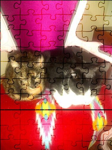 Gatitos - Silvana Jaramillo Puzzle #730594 | Jspuzzles