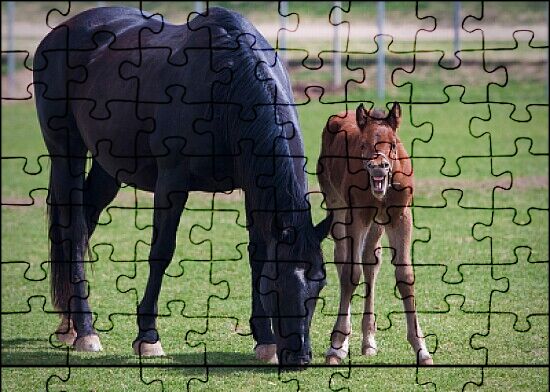 Cal+Manz - Lilia.C Puzzle #768146 | Jspuzzles