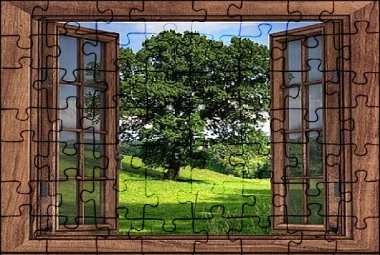 Picture Window Jigsaw Puzzles Online | JSPuzzles.com