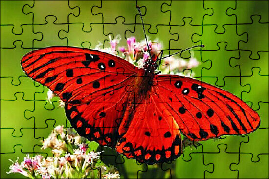 X - Cia Puzzle #882769 | Jspuzzles