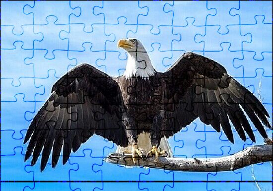 Aguila Real - Inesss Puzzle #887803 | Jspuzzles