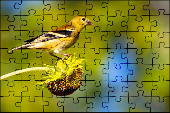 Toy - Toy Puzzle #934760 | Jspuzzles