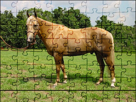 Toy - Toy Puzzle #934884 | Jspuzzles