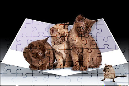 Toy - Toy Puzzle #941390 | Jspuzzles