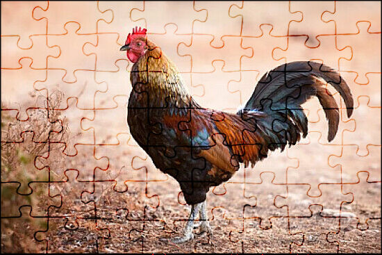 Toy - Toy Puzzle #943910 | Jspuzzles