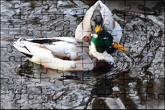 Toy - Toy Puzzle #948228 | Jspuzzles