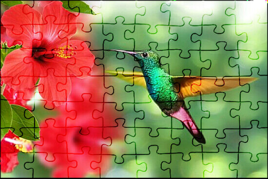 Toy - Puzzle Utente #948572 | Jspuzzles