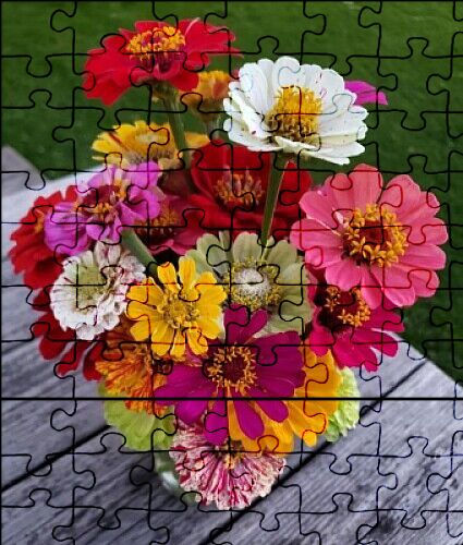 Imm - Res Puzzle #966360 | Jspuzzles