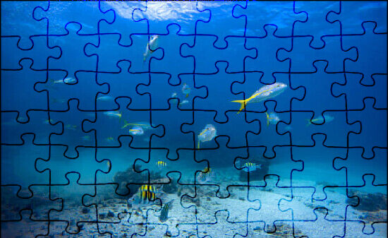 Rompecabezas de | JSPuzzles