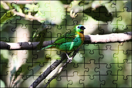 A - Rompecabezas Del Usuario #972646