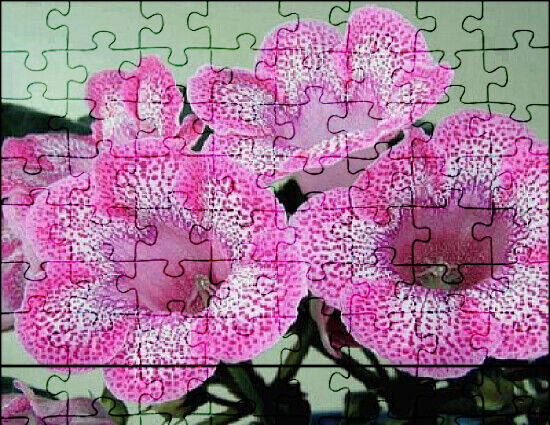 Ok - Rompecabezas Del Usuario #974430