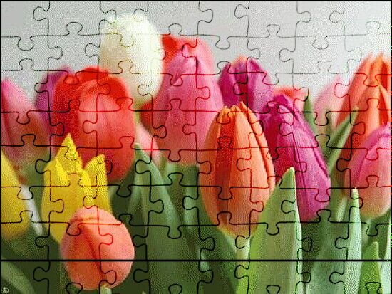 Toy - Puzzle Utente #990479 | Jspuzzles